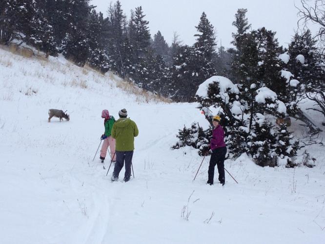 Plan a ski trip to Yellowstone in the winter | | laureloutlook.com