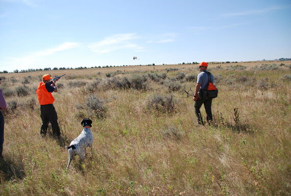 Youth Hunting Story Contest open through Nov. 27 | News | laureloutlook.com