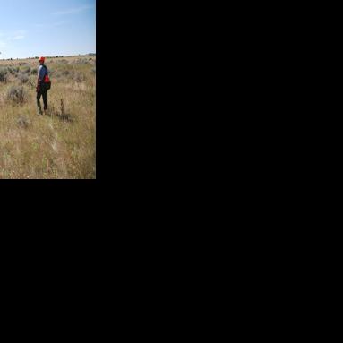 Partnership continues to promote hunter behavior | State ...