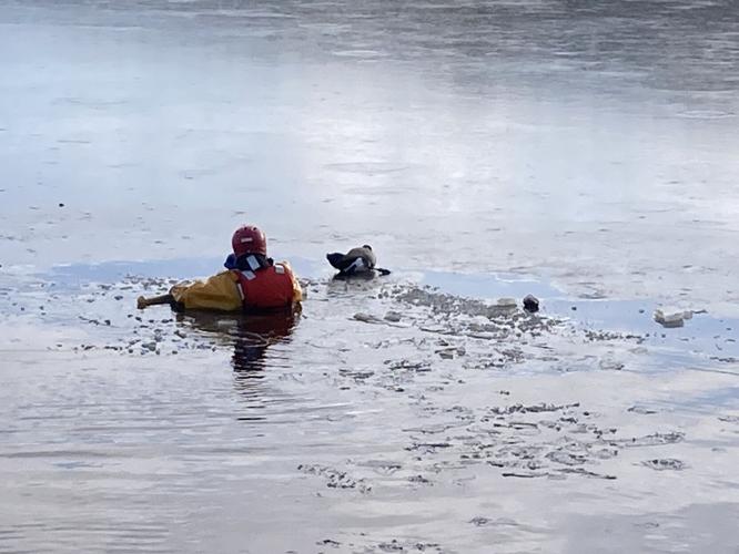 Laurel firefighter rescues Canada goose from South Pond | News ...