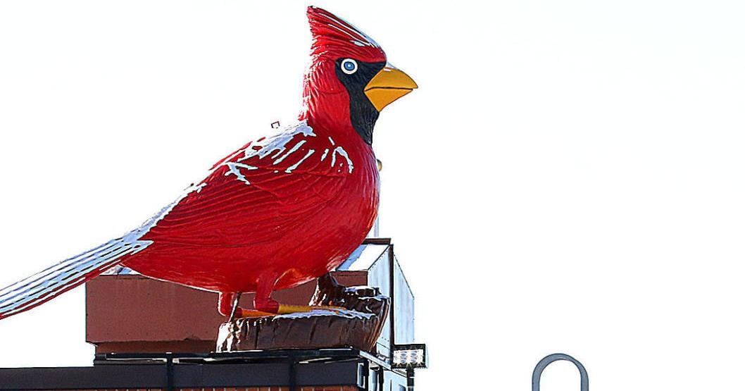 CF school board again delays superintendent hiring decision | Daily ...