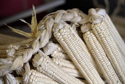 Tribal leaders, state officials applaud grants tackling food shortages ...