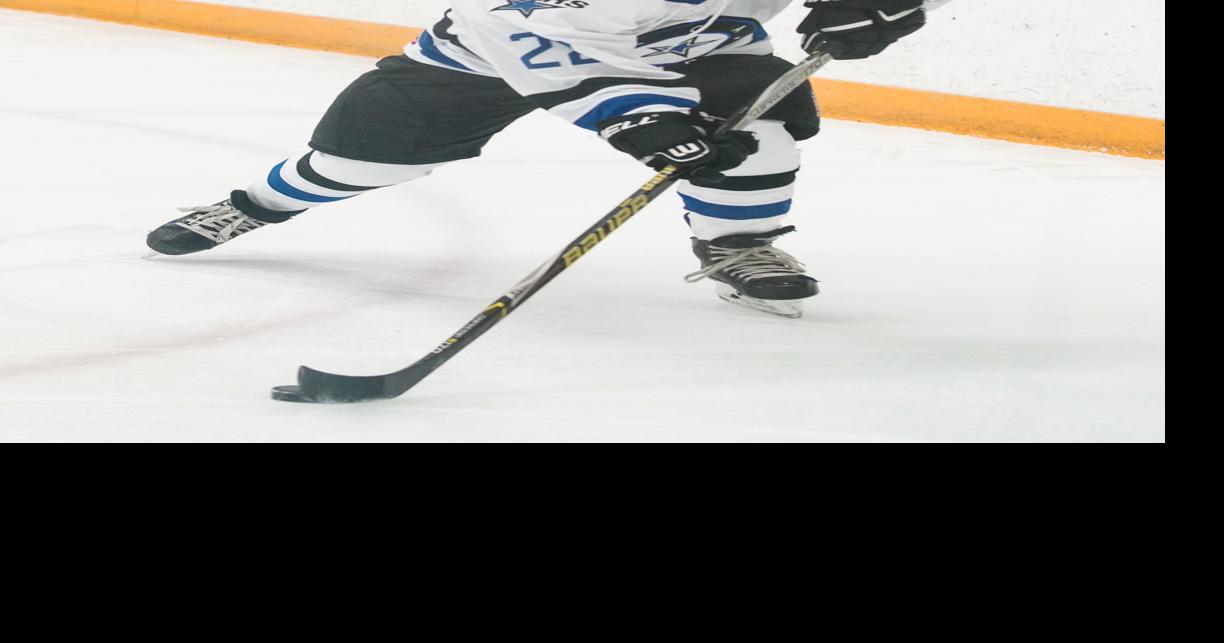 Girls hockey all-conference & all-state selections | Sports Daily ...