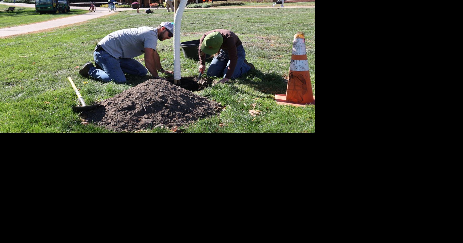 UWEC plants trees to keep campus tree population strong | Local News ...