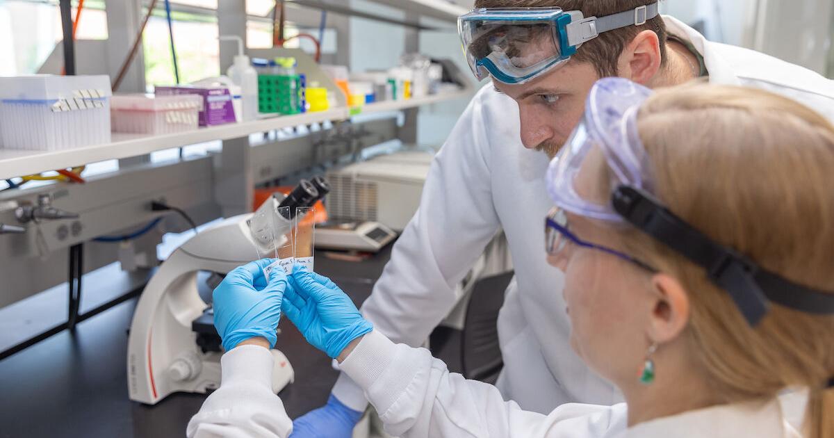 Microscopic research becomes next focus in Stout's new Histology Lab ...
