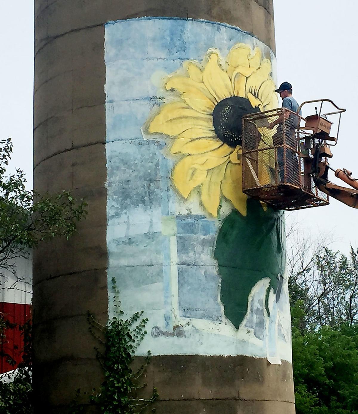 Silo gets sunflower makeover | Front Page | leadertelegram.com