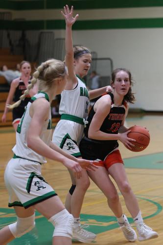Lady Ramblers earn upset win against Osseo-Fairchild | Sports ...