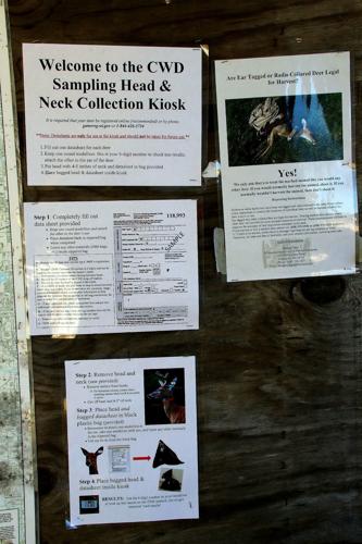 More CWD sampling options this year | Outdoors | leadertelegram.com