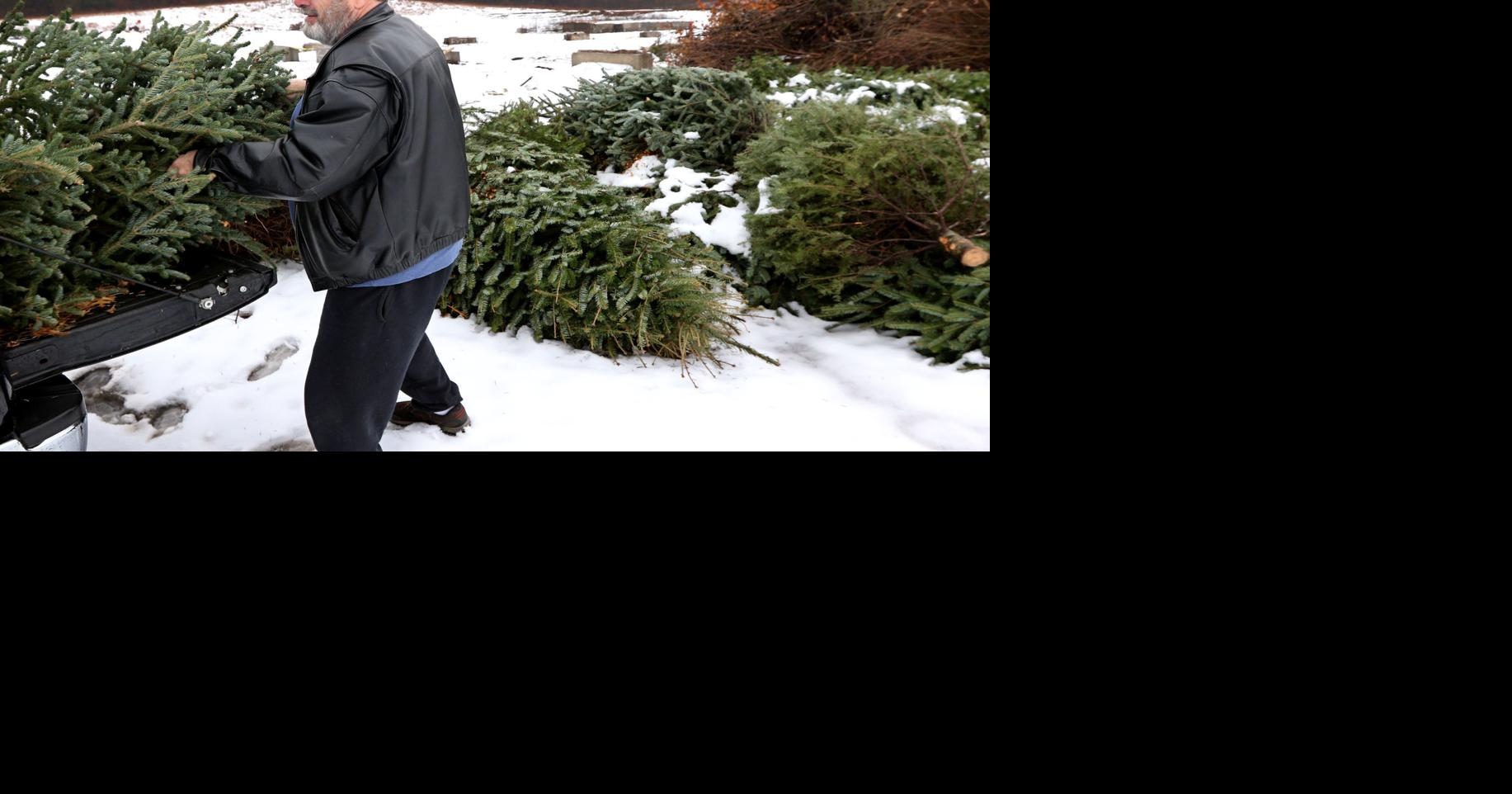 Firm offers curbside Christmas tree collection | Local Briefs ...
