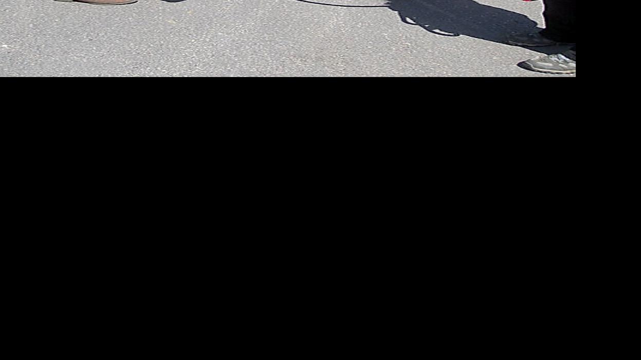 Personality, temperament make donkeys, mules unique | Country Today ...