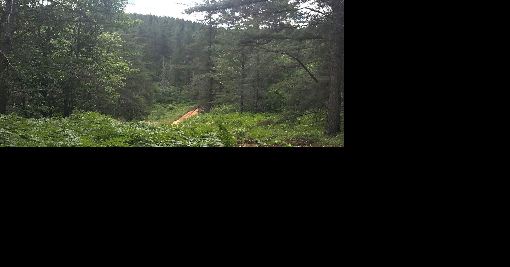 A hiker's Valhalla | Outdoors | leadertelegram.com