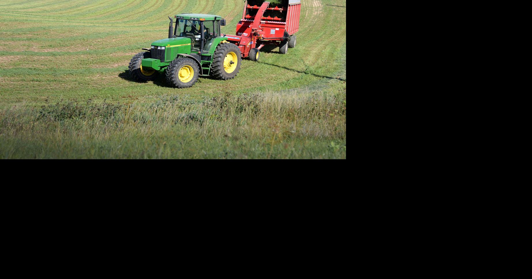 Bad things come in threes: Pathologists identify diseases threatening ...