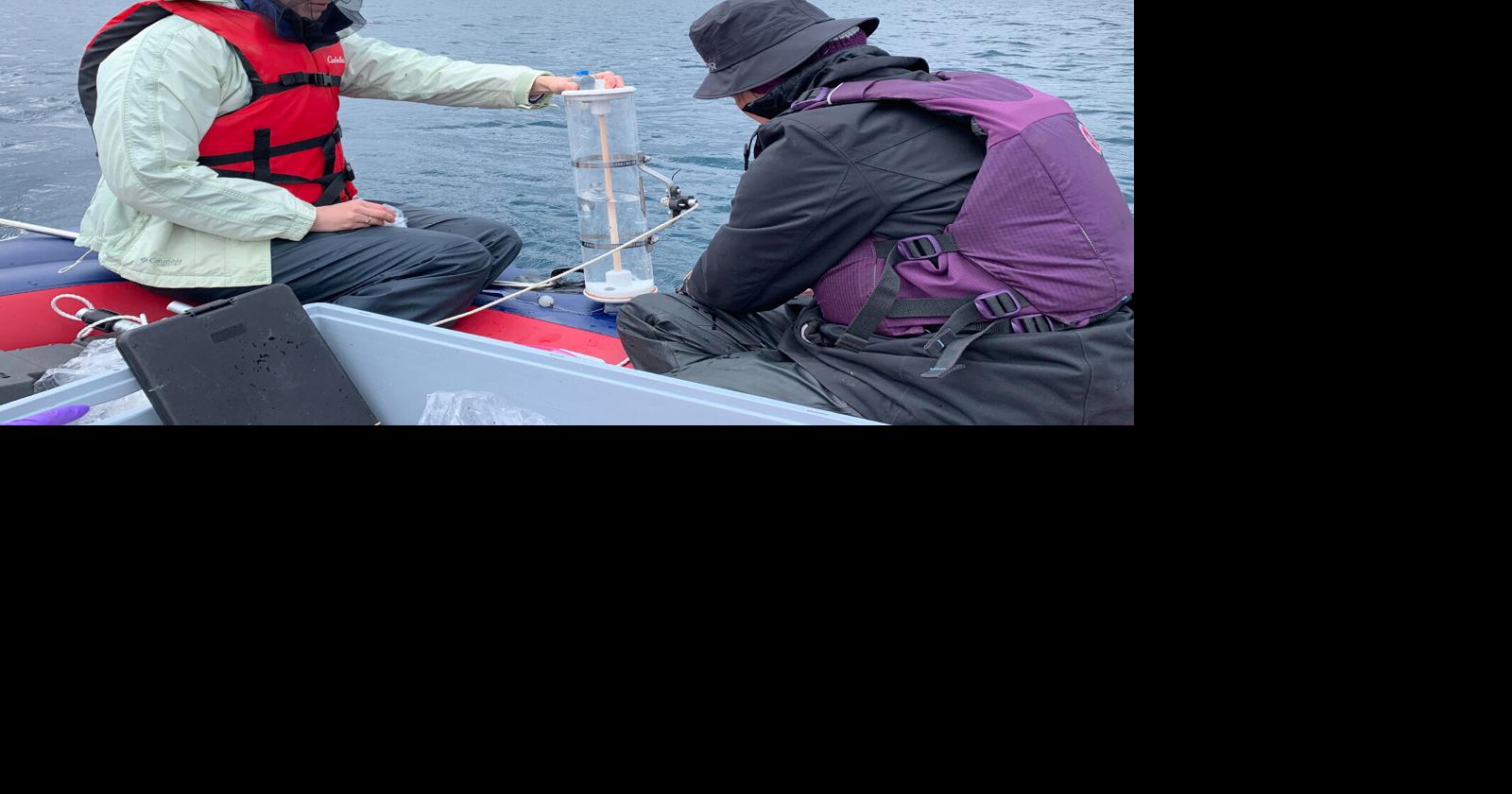 Stout professor, team of scientists study how small organisms have an ...