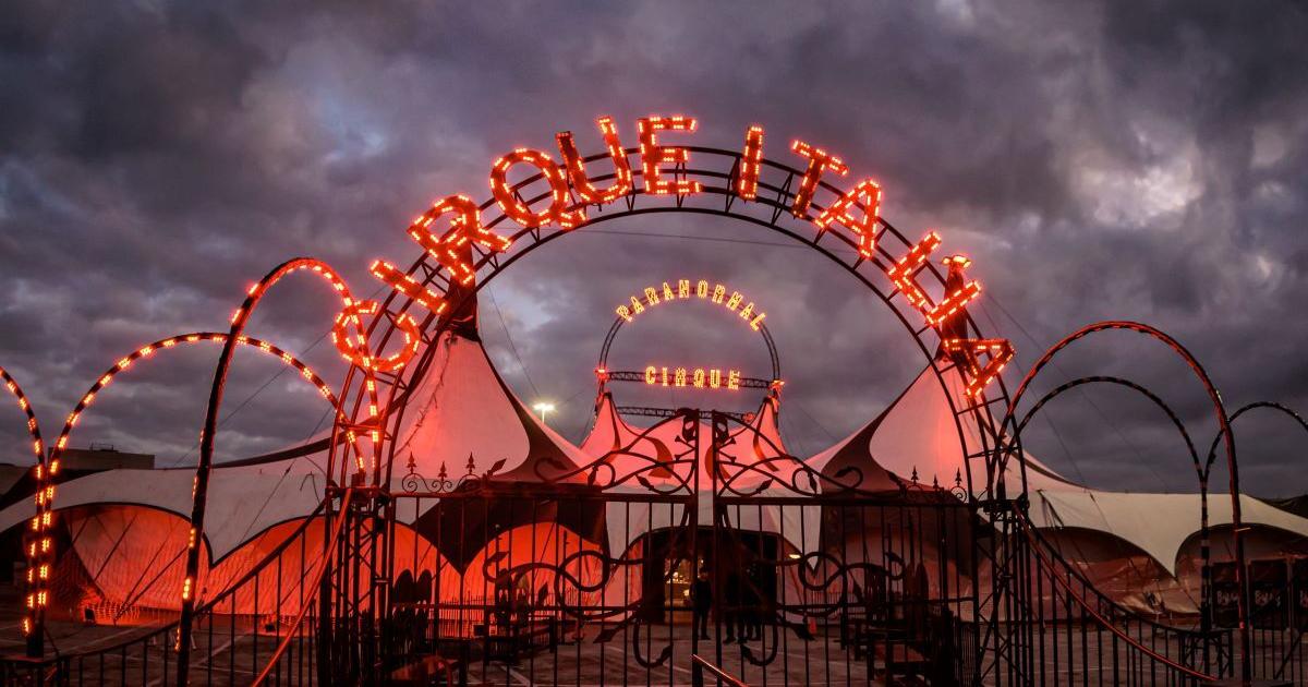 Paranormal Cirque combines circus thrills with horror | Arts & Entertainment | leadertelegram.com