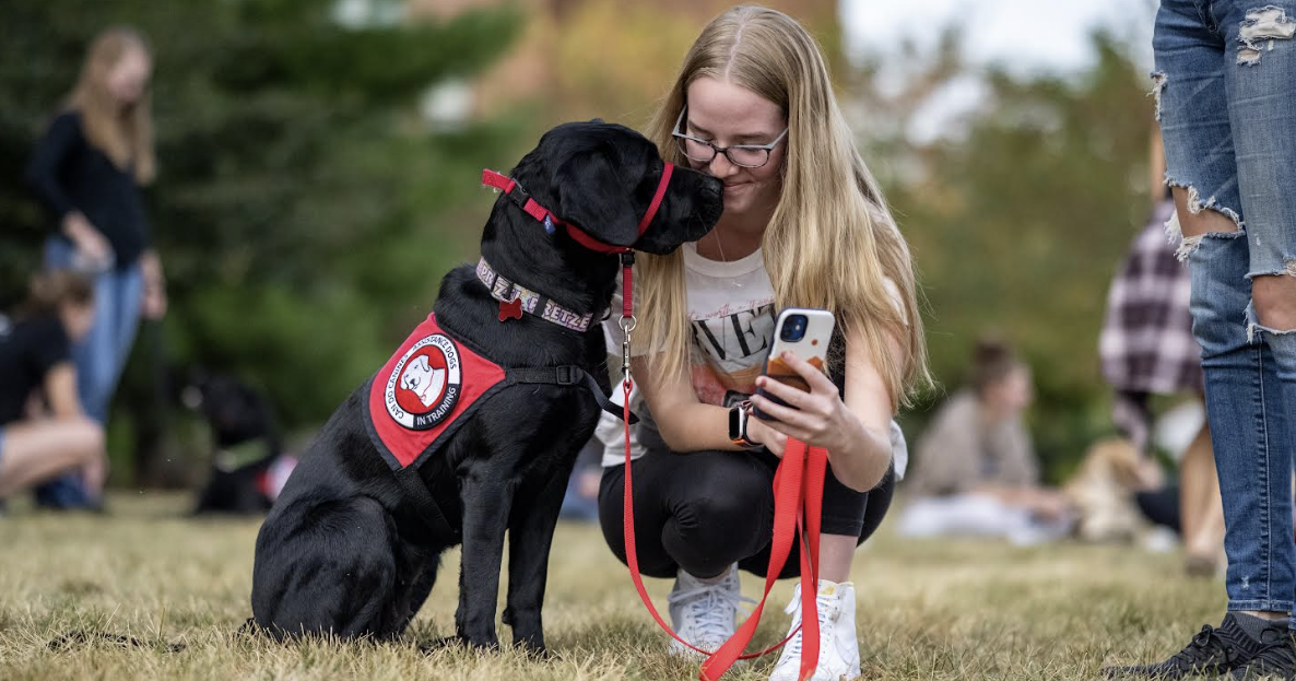 Assistance dogs begin their training at UWRF this fall | Local News ...