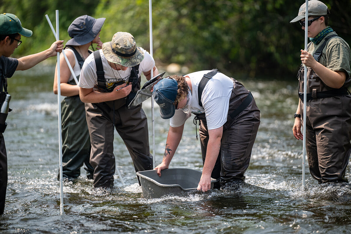 University students collect data on River Falls dams ahead of removal ...