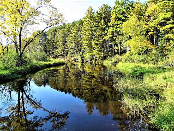 Focus on nature: A walk around the Round Lake logging dam trail ...