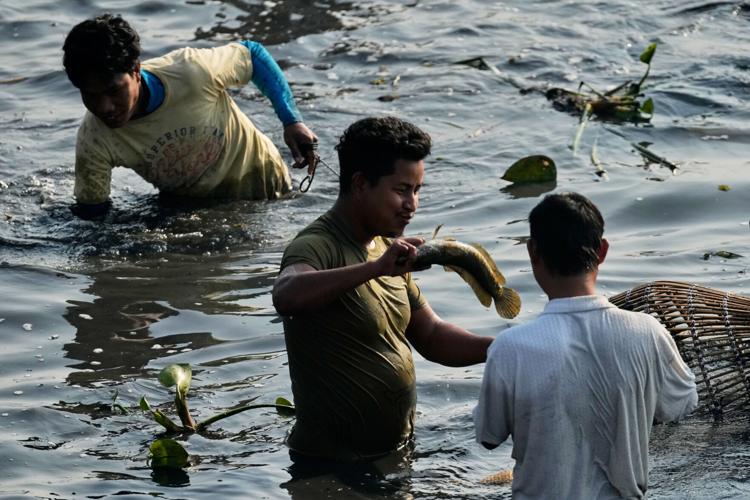 Photos of a community catch in an Indian fishing village marking the ...