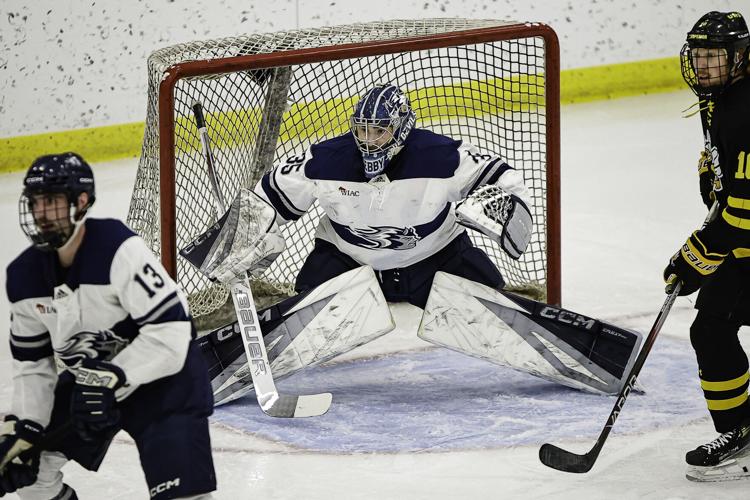 Goalie Sebastian Monaco key to UW-Stout hockey's strong start | Sports ...