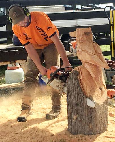 Carvers fundraise for sick artist at chainsaw championship | Front Page ...