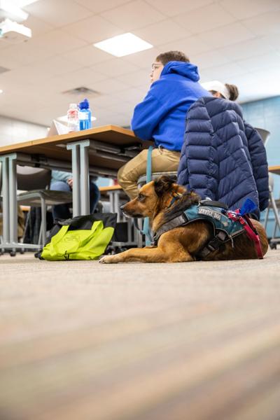 Head of the class: Service dog learns along with owner | Country Life ...