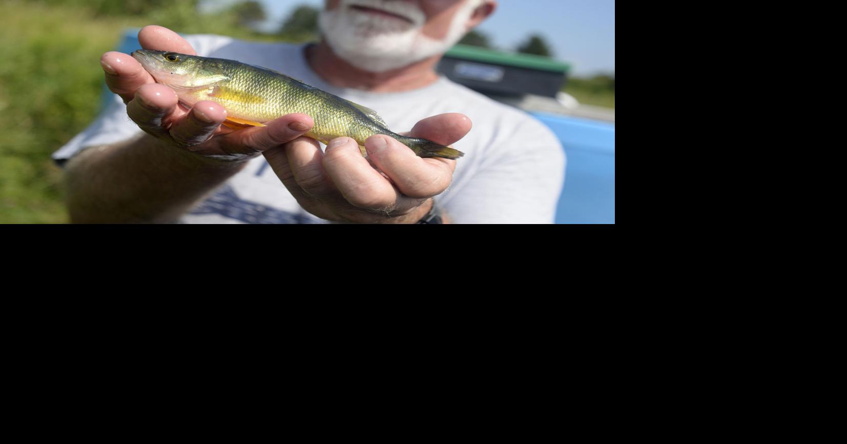 West eager to get people hooked on fish farms | Livestock ...