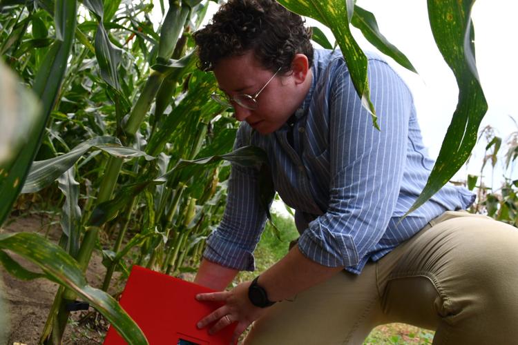 Bugging the bugs: UW-Madison entomologist eavesdrops on pests | Crops ...