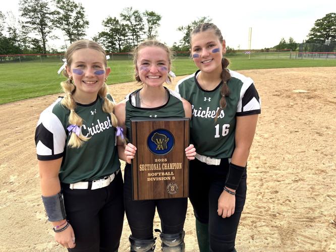 Fall Creek softball team earns return trip to state | Sports ...