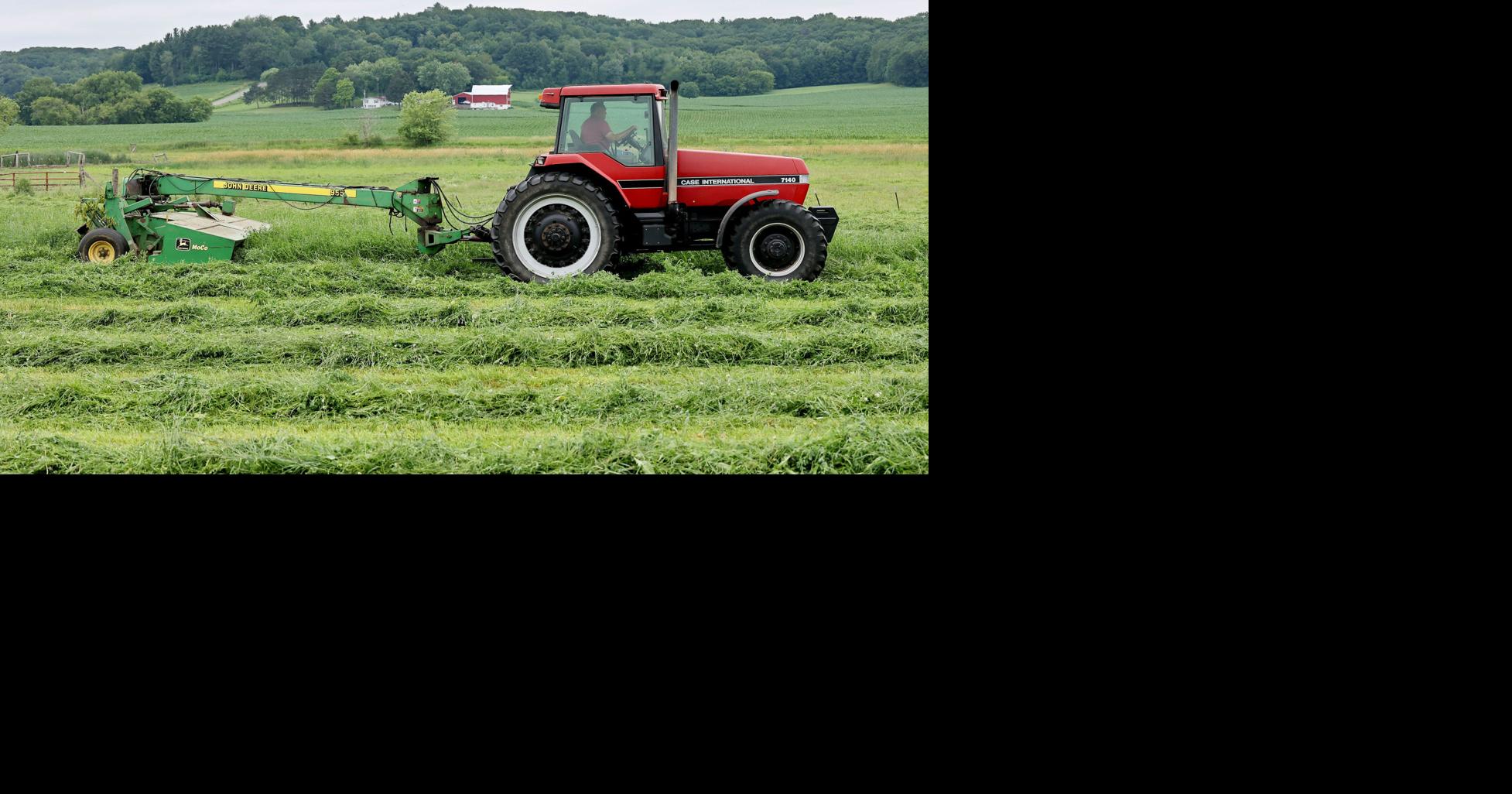 Ag agent: corn and soybeans two weeks behind normal pace | Crops ...