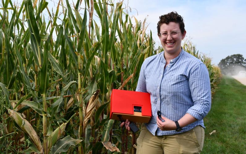 Bugging the bugs: UW-Madison entomologist eavesdrops on pests | Crops ...