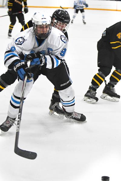 Area roundup (6/16): North alum Stange invited to USA Hockey camp ...