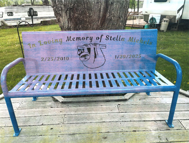 Two new benches will honor recently deceased CF children | Daily ...