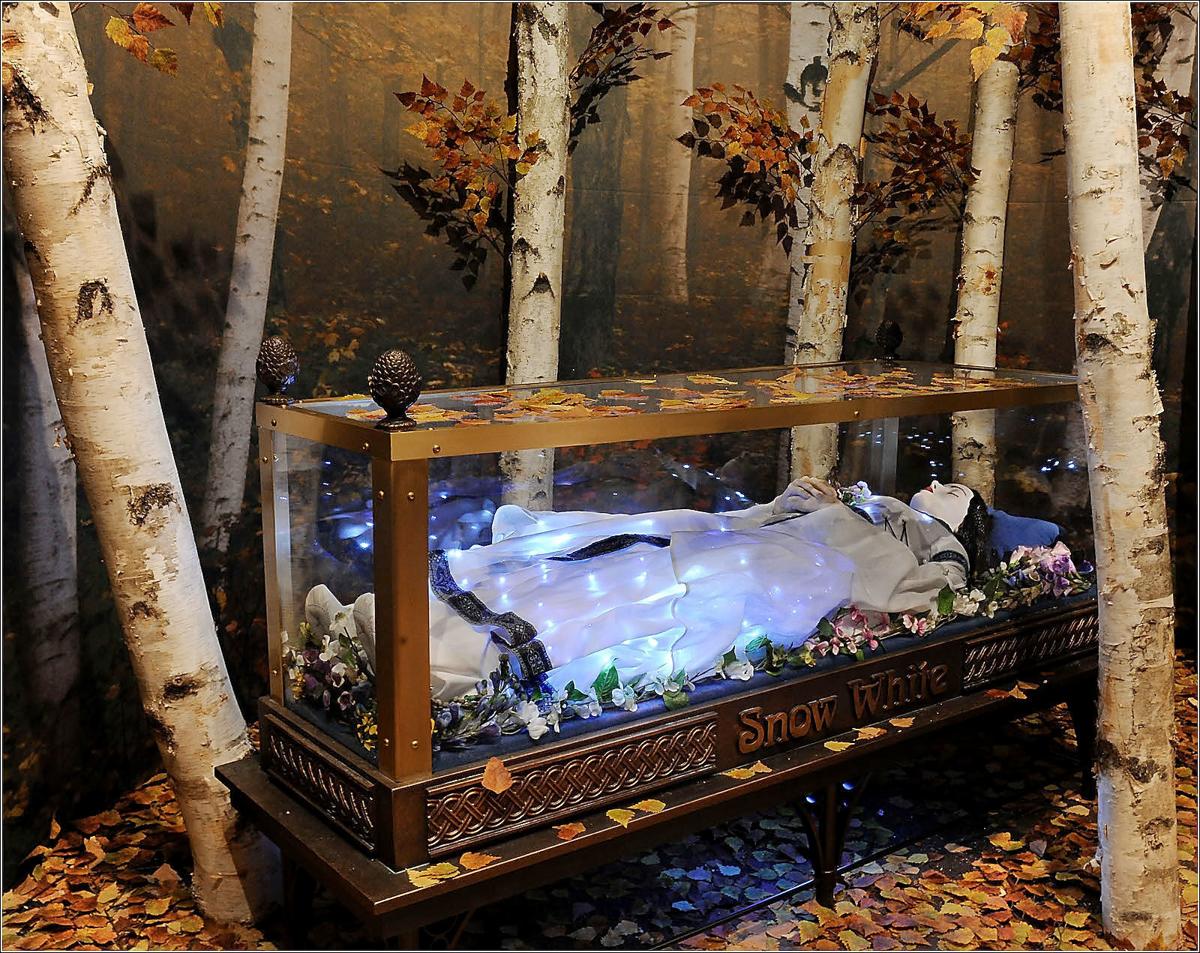 Power of poison part of Milwaukee museum exhibit | Travel ...