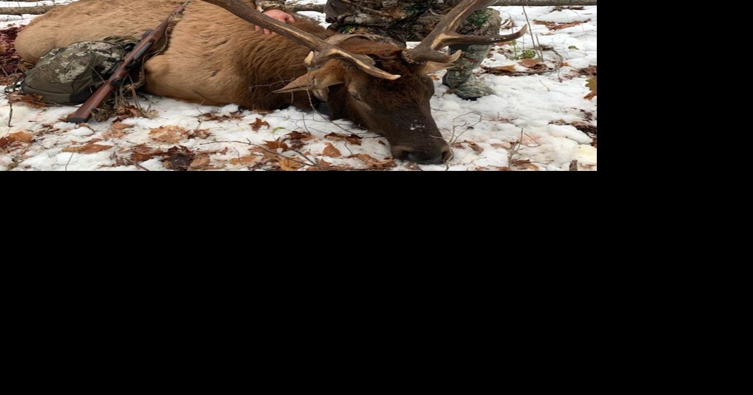 Wisconsin’s 2020 elk hunting season ends on high note | Country Updates ...