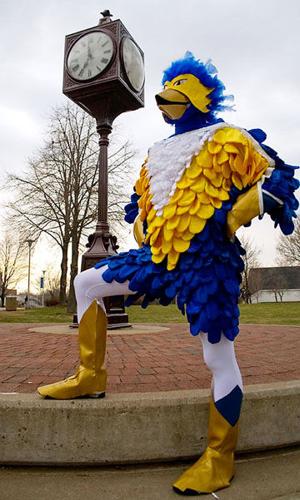 Fighting Macaw quits Blugold mascot contest; endorses The Bird | Blogs ...