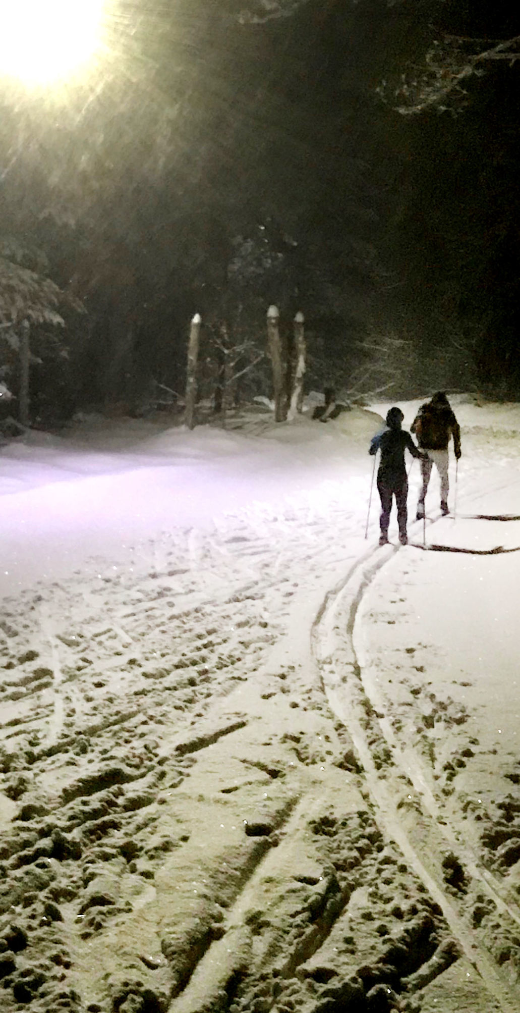 Visionary projects: Tower Ridge lights for night skiing upgraded ...