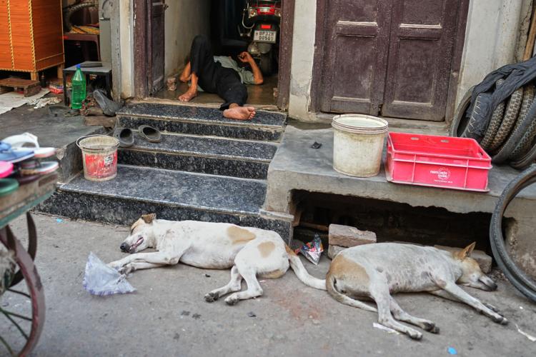 Daily life around the world, in photos | Nation & World ...