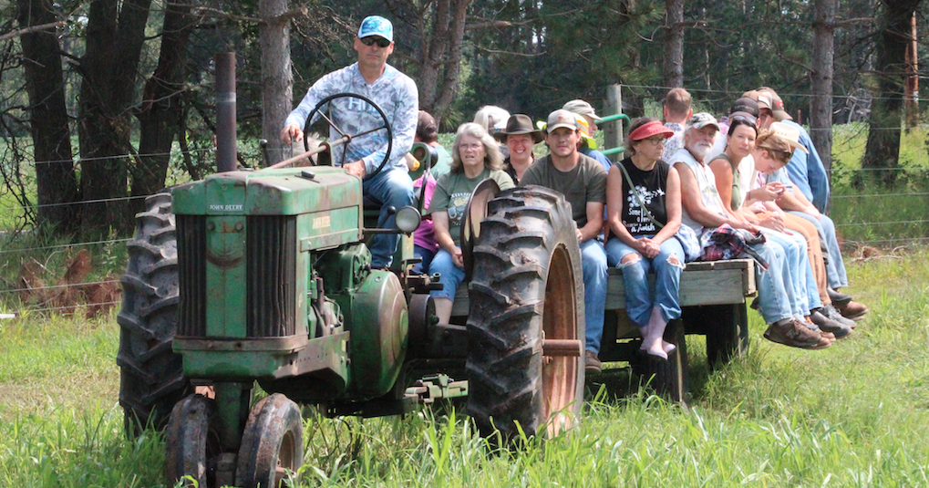 Walking with buffalo: Black Creek Bison Pasture Walk educates visitors ...