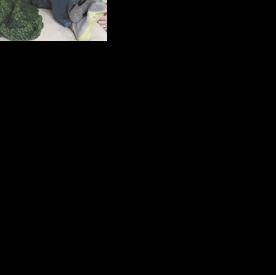 Family of injured Girl Scout sues Colten Treu over crash | Daily ...