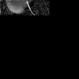 Joanne Colson | Obituaries | leadertelegram.com