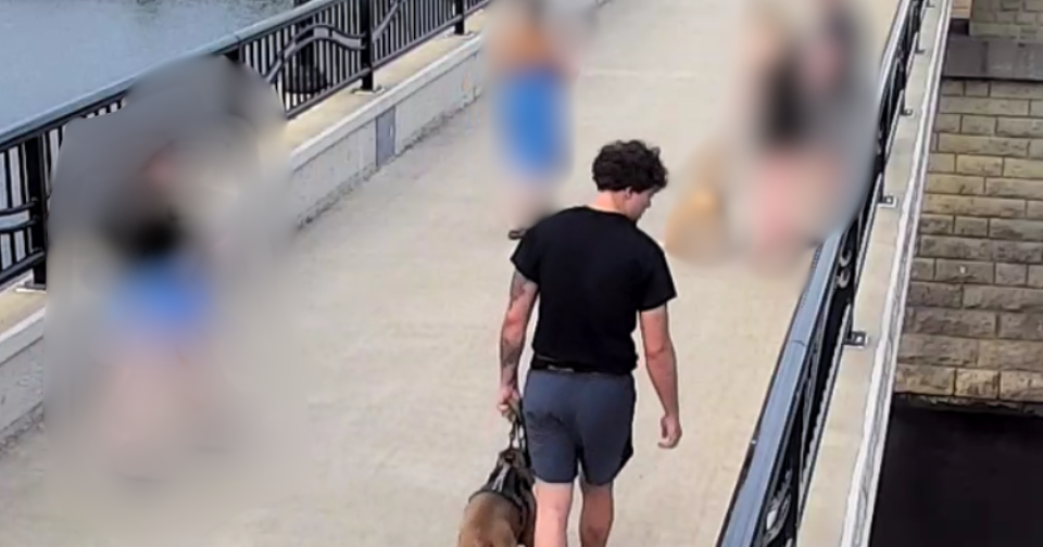 EC Health Department needs help in finding dog | Local Briefs ...