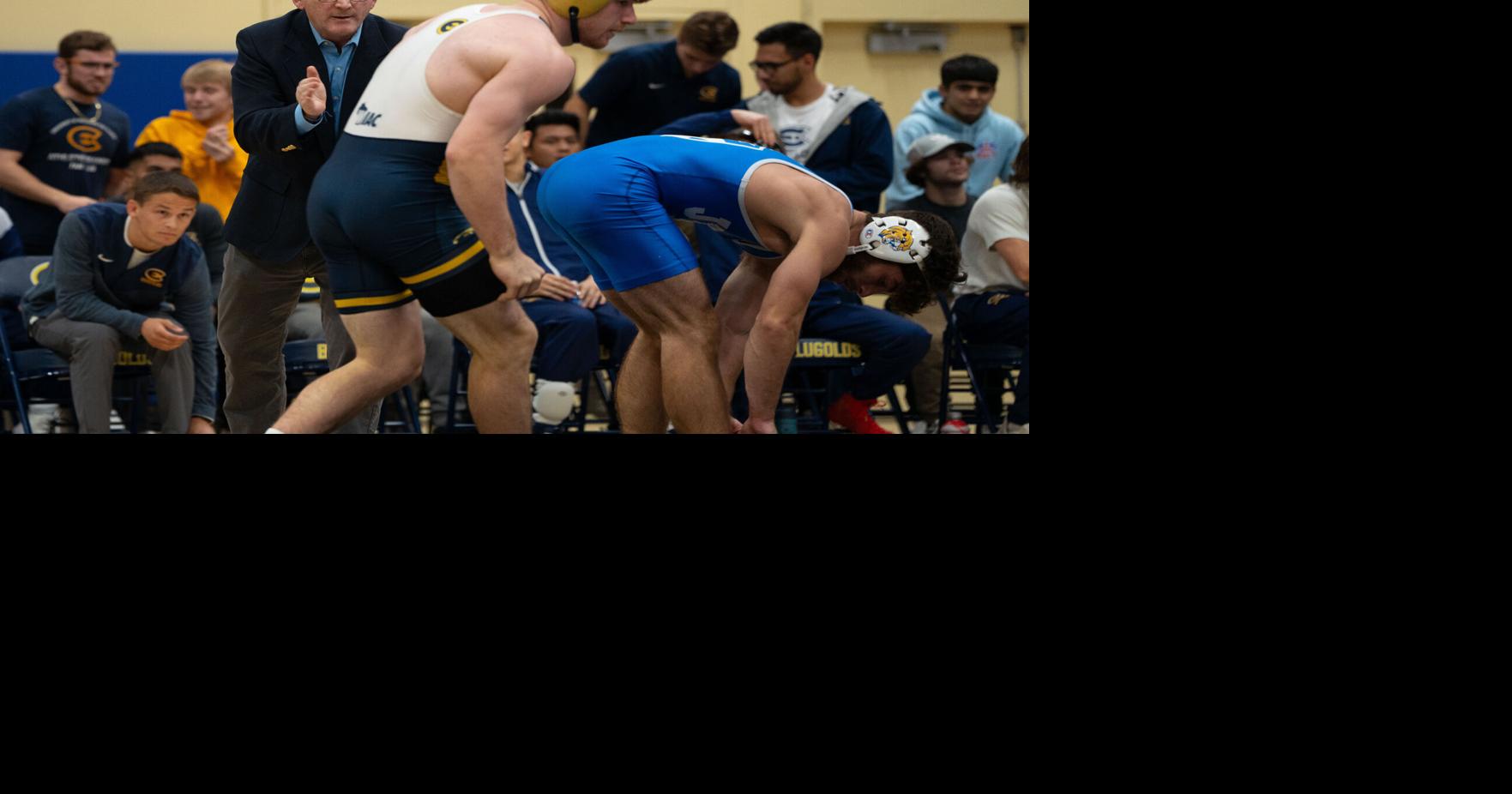 Division III week provides UWEC a chance to spotlight its student ...