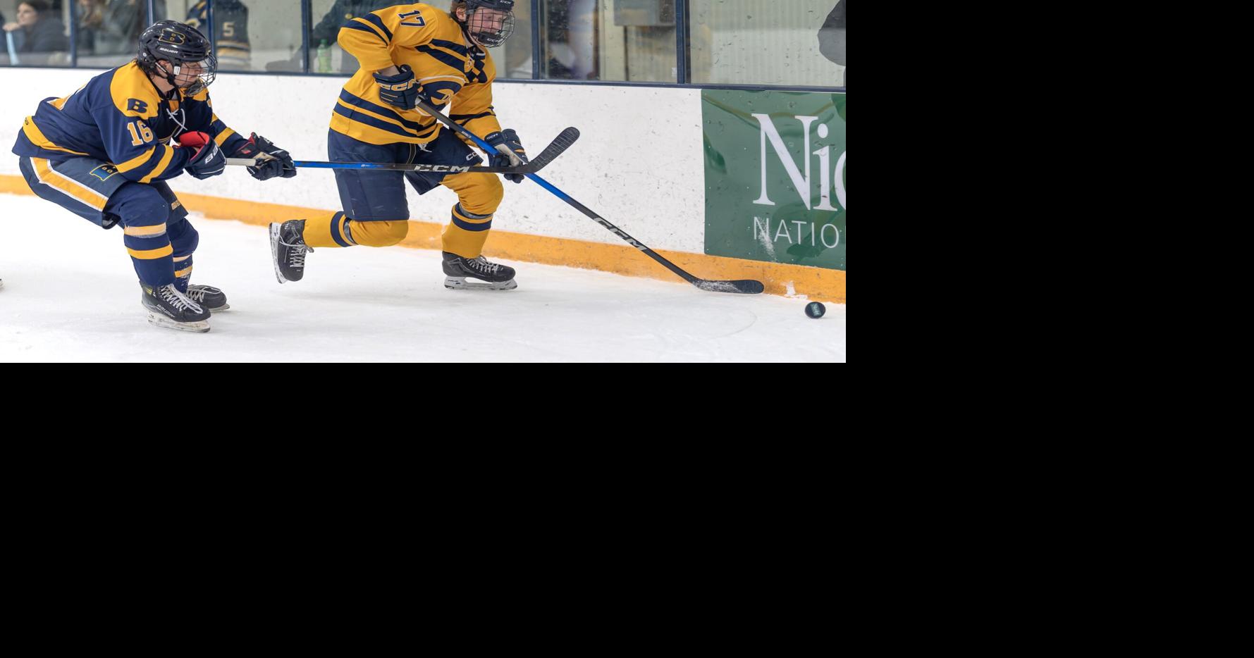SESKER: Blugold hockey teams putting on show | Sports | leadertelegram.com