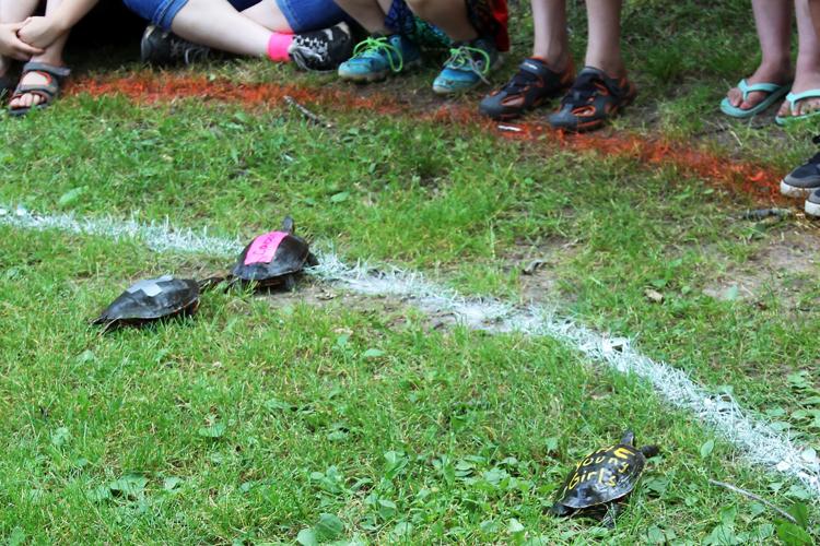 Going nowhere fast: Slow and steady wins the race as Tur­tle Lake cel­e ...