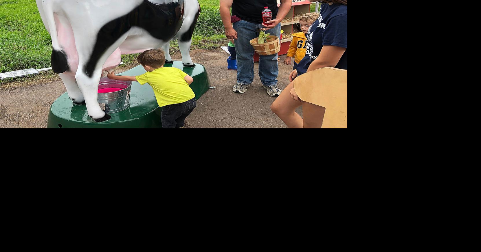 Life lessons, fresh off the farm: Late summer dairy day a north country ...