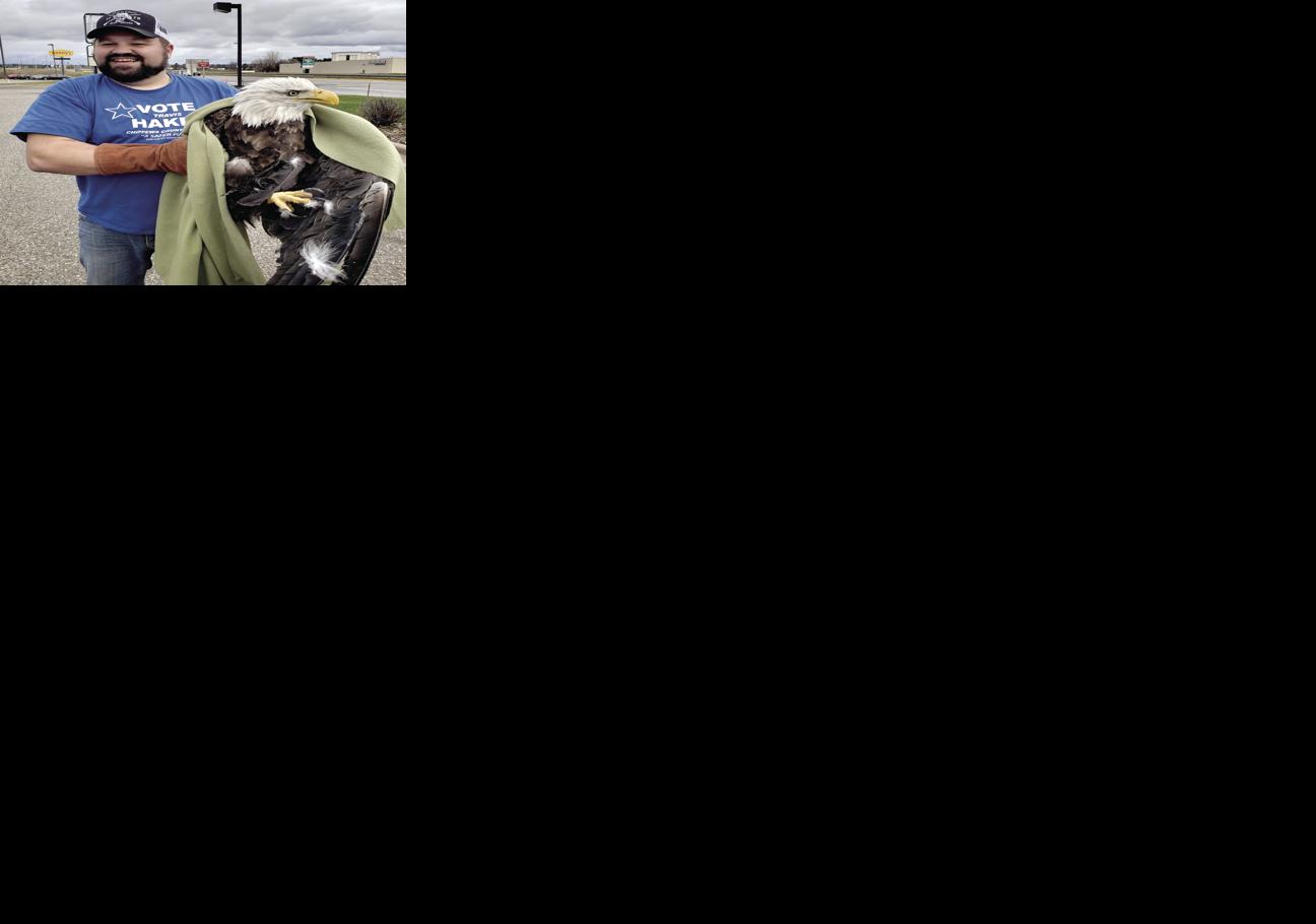 Injured eagle rescued | Local Briefs | leadertelegram.com