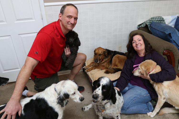 Bob's House looks to provide more happy endings for older dogs ...