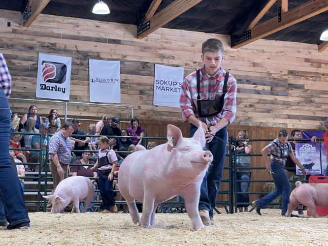 New attractions, solid musical lineup for upcoming Northern Wisconsin ...