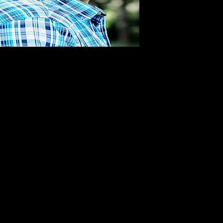 Andrew Stearns | Obituaries | leadertelegram.com