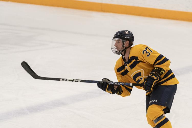 Green cousins keep Blugold hockey all in the family | Sports ...